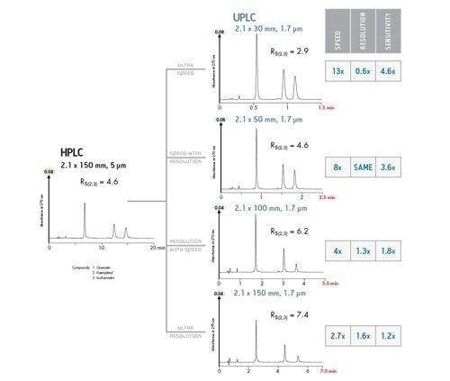 Beginner’s Guide to Ultra-Performance Liquid Chromatography (UPLC) | Waters