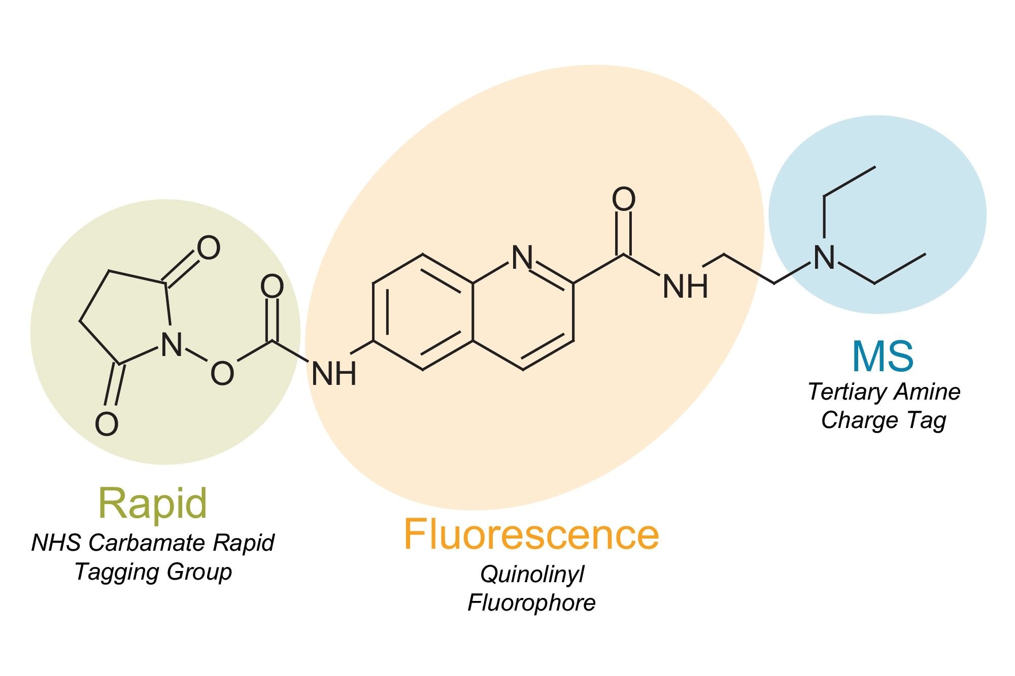 GlycoWorks | Sample Preparation Kits for Released N-Glycan Analysis ...