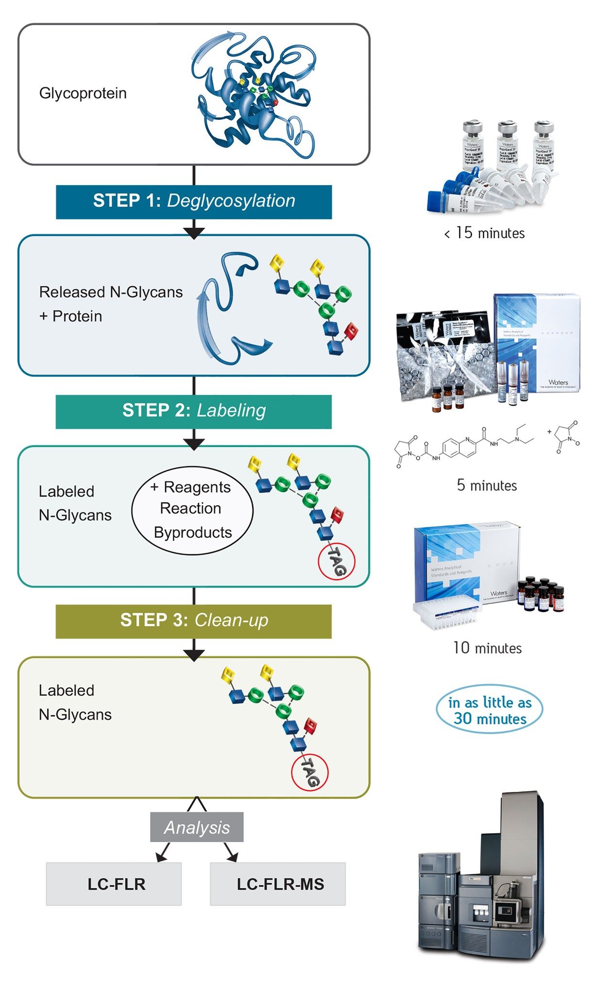 GlycoWorks | Sample Preparation Kits for Released N-Glycan Analysis | Waters