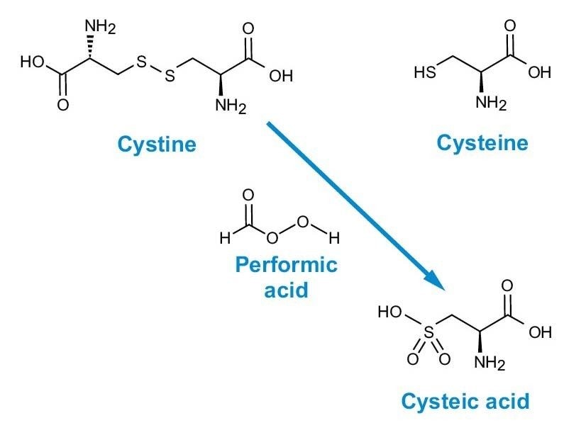 Hydrolyse de protéines et de peptides purifiés | Waters