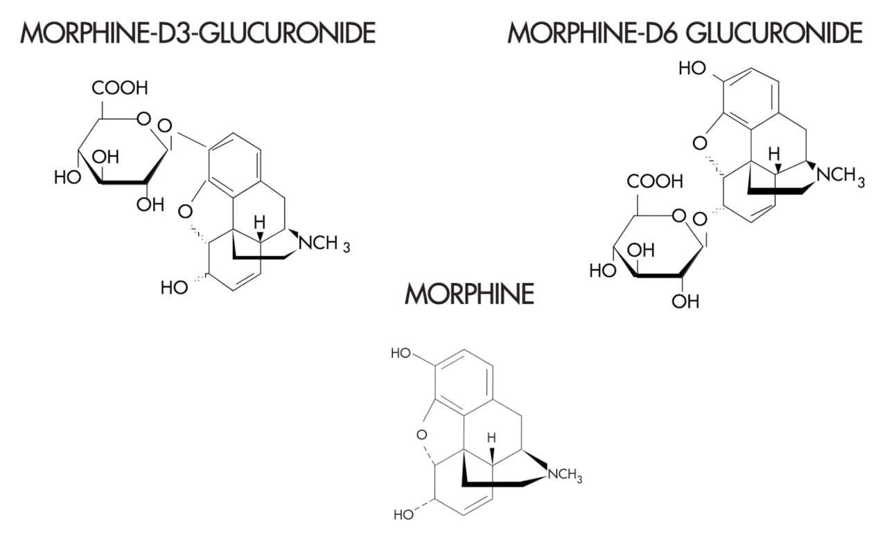 Morphine and Its Glucuronide Metabolites in Serum : Waters