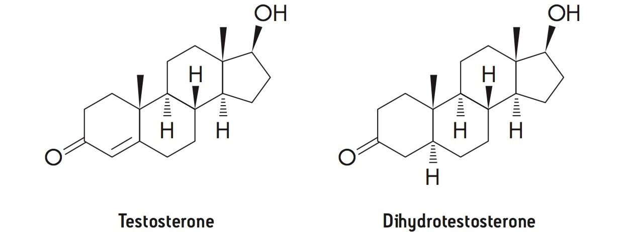 Development of a Clinical Research Method for the Measurement of ...