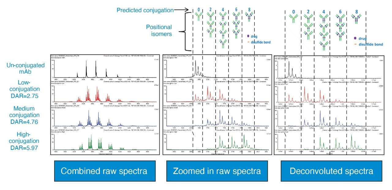 Analysis of Cysteine-Conjugated Antibody Drug Conjugates (ADCs) Using a ...