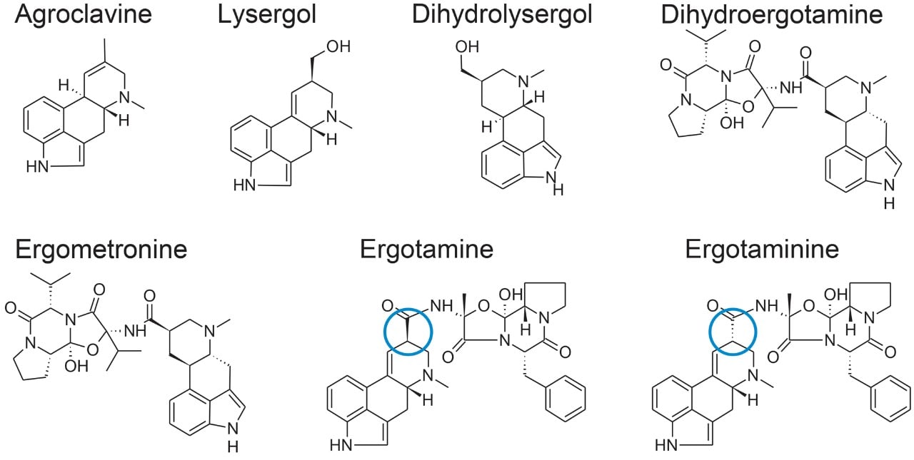 Analysis of Ergot Alkaloids in Cereal Samples by Liquid Chromatography ...