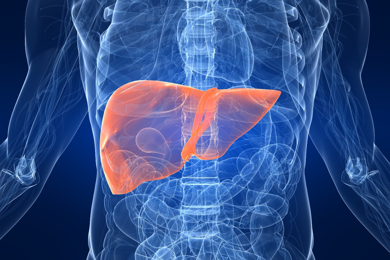 Direct Detection of Glutathione Conjugates in Human Liver Microsomes ...