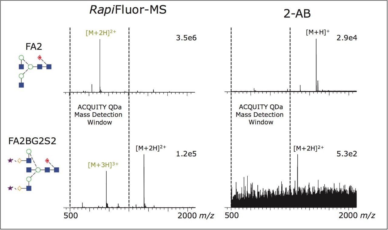 New Capabilities for Monitoring Released N-Glycans through the Combined Use of Rapi Fluor-MS ...