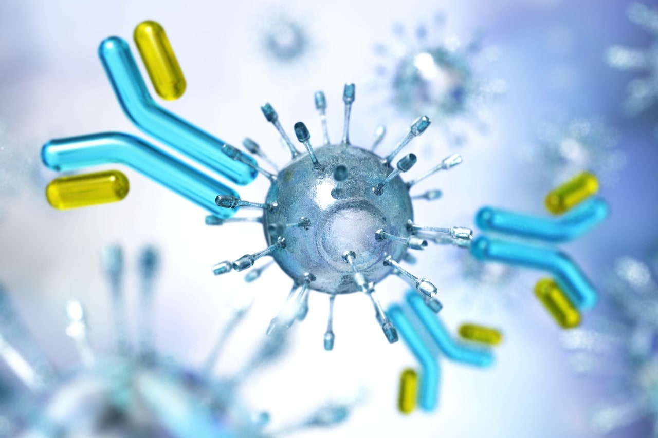 mAb Subunit Analysis Using the SYNAPT XS High Resolution Mass ...