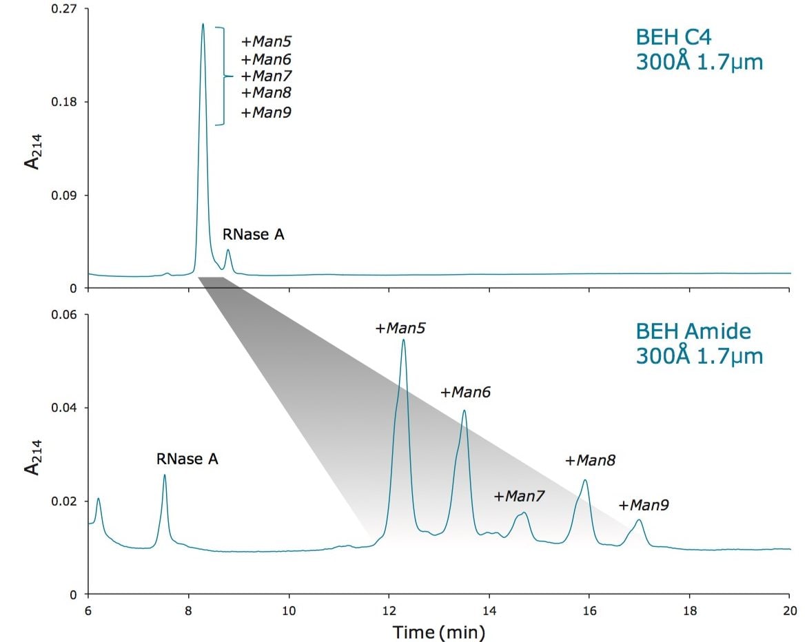 Developing High Resolution HILIC Separations of Intact Glycosylated ...