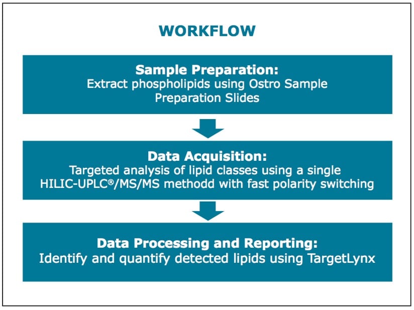 A Definitive Lipidomics Workflow for Human Plasma Utilizing Off-line ...