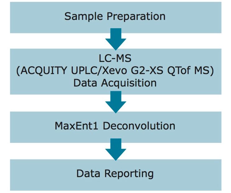 Routine LC-MS Analysis of Intact Antibodies : Waters