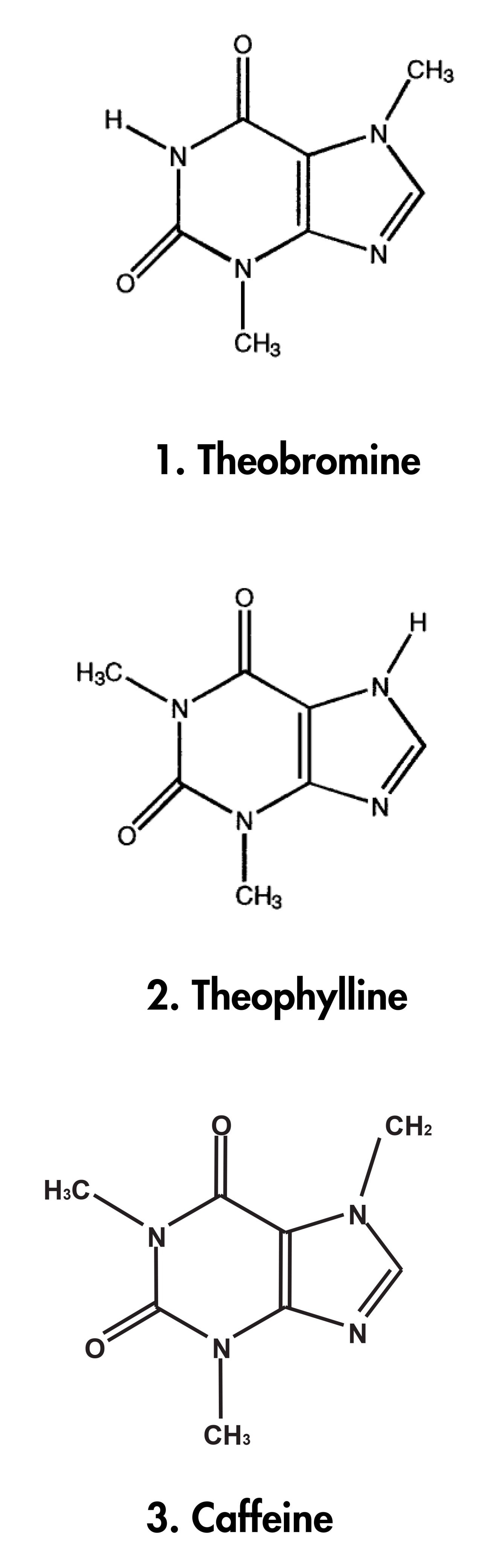 Theophylline and Theobromine : Waters