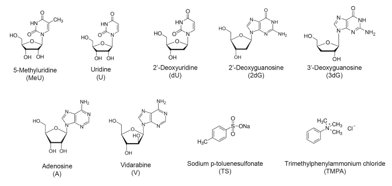 Introducing Atlantis BEH Z-HILIC: A Zwitterionic Stationary Phase Based ...