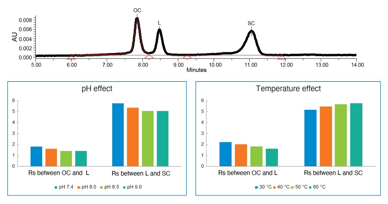 Plasmid Isoform Separation and Quantification by Anion-Exchange ...