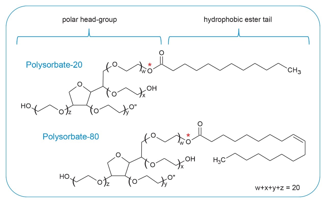 Quantitative Analysis of Polysorbate 20/80 in Protein-Based ...