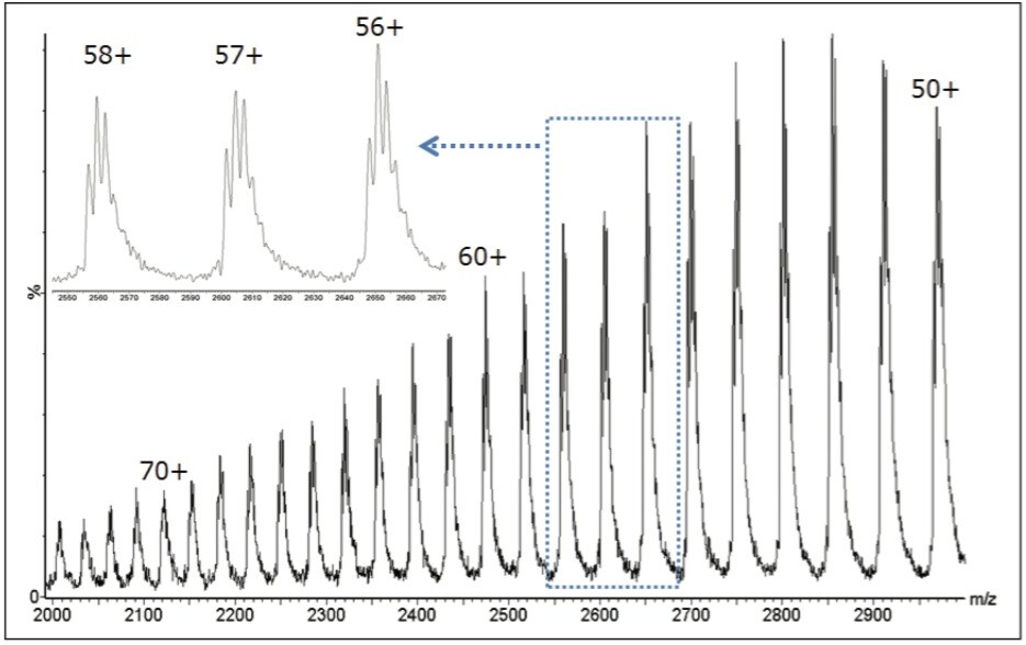 Routine Generation of Biotherapeutic Antibody Glycoprotein Profiles by ...