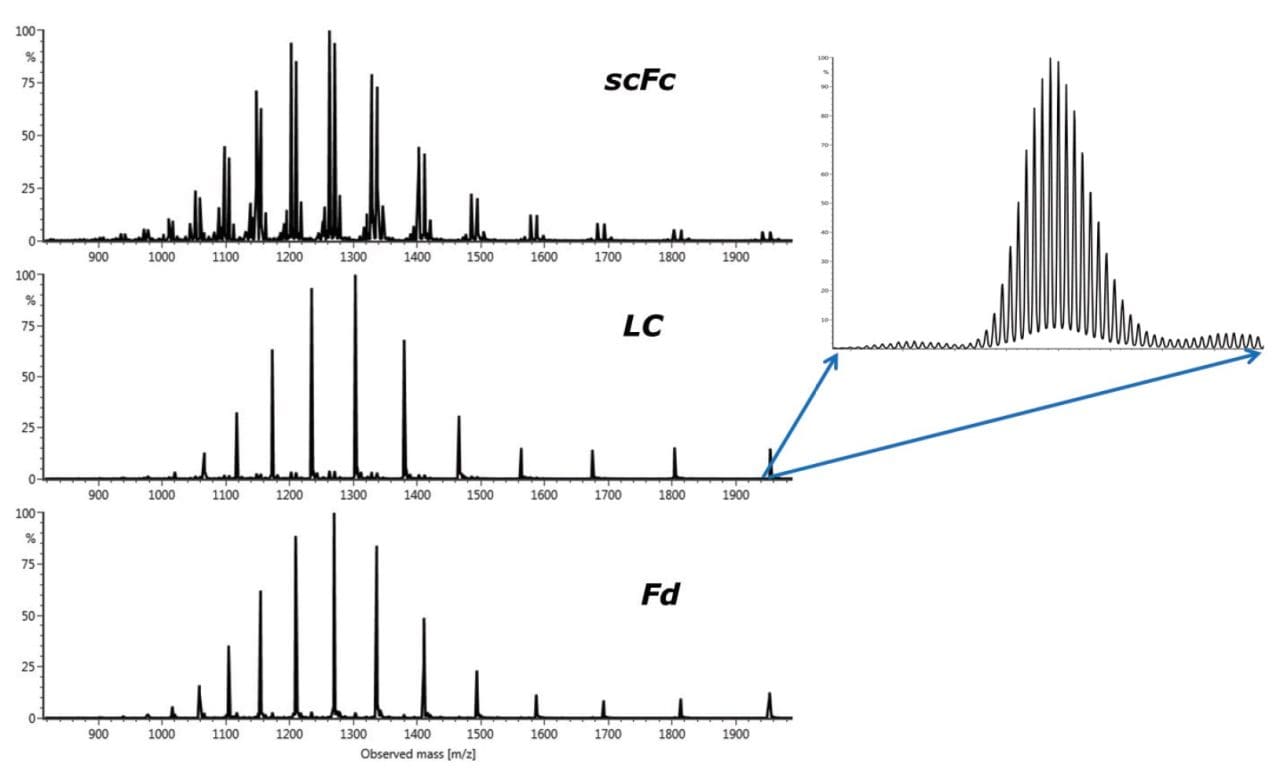High-Performance Vion IMS QTof for Monoclonal Antibody Intact and ...