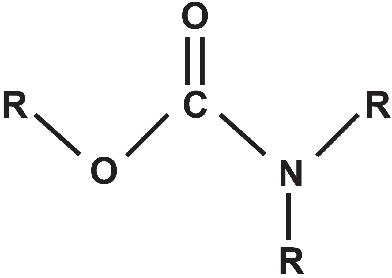 Quantitative Analysis of 15 Carbamates in Vegetables Using DisQuE ...
