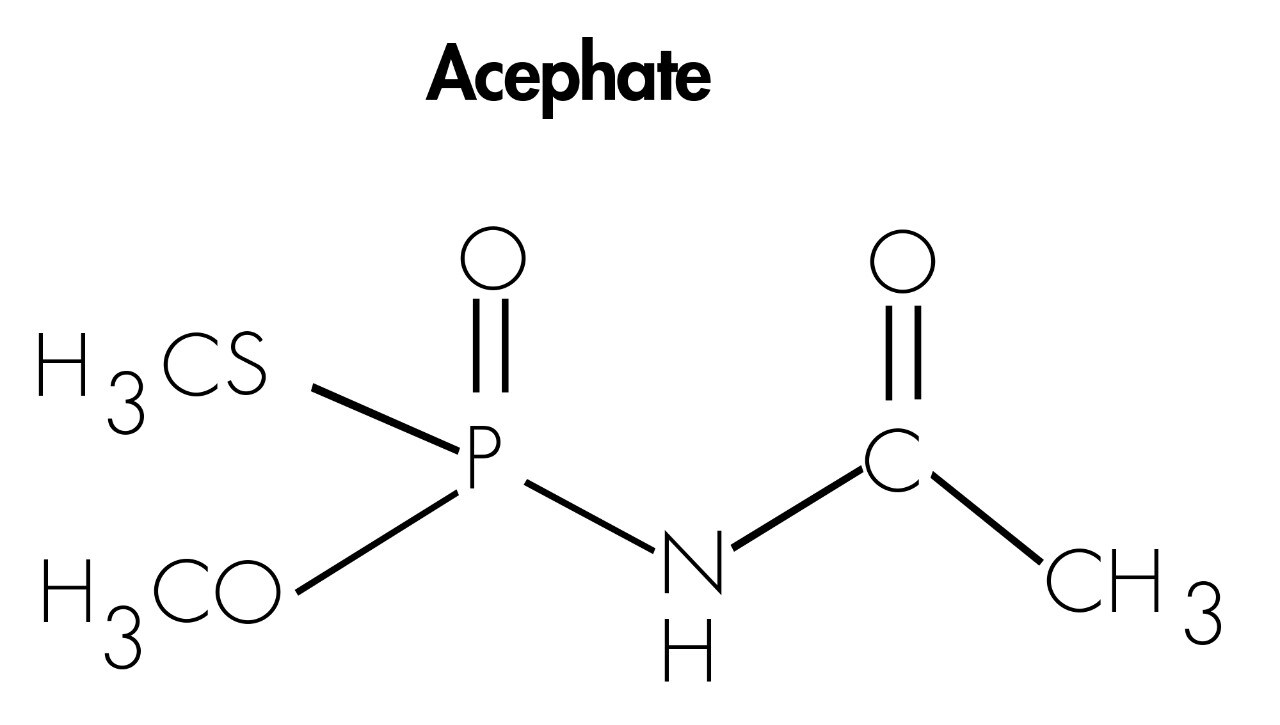Acephate in Drinking Water | Waters