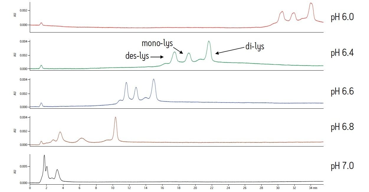 IEX Method Development of a Monoclonal Antibody and Its Charge Variants ...