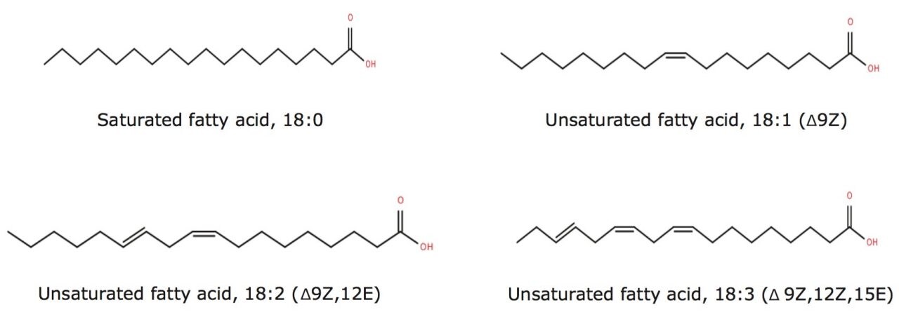 Fast and Simple Free Fatty Acids Analysis Using UPC2/MS : Waters