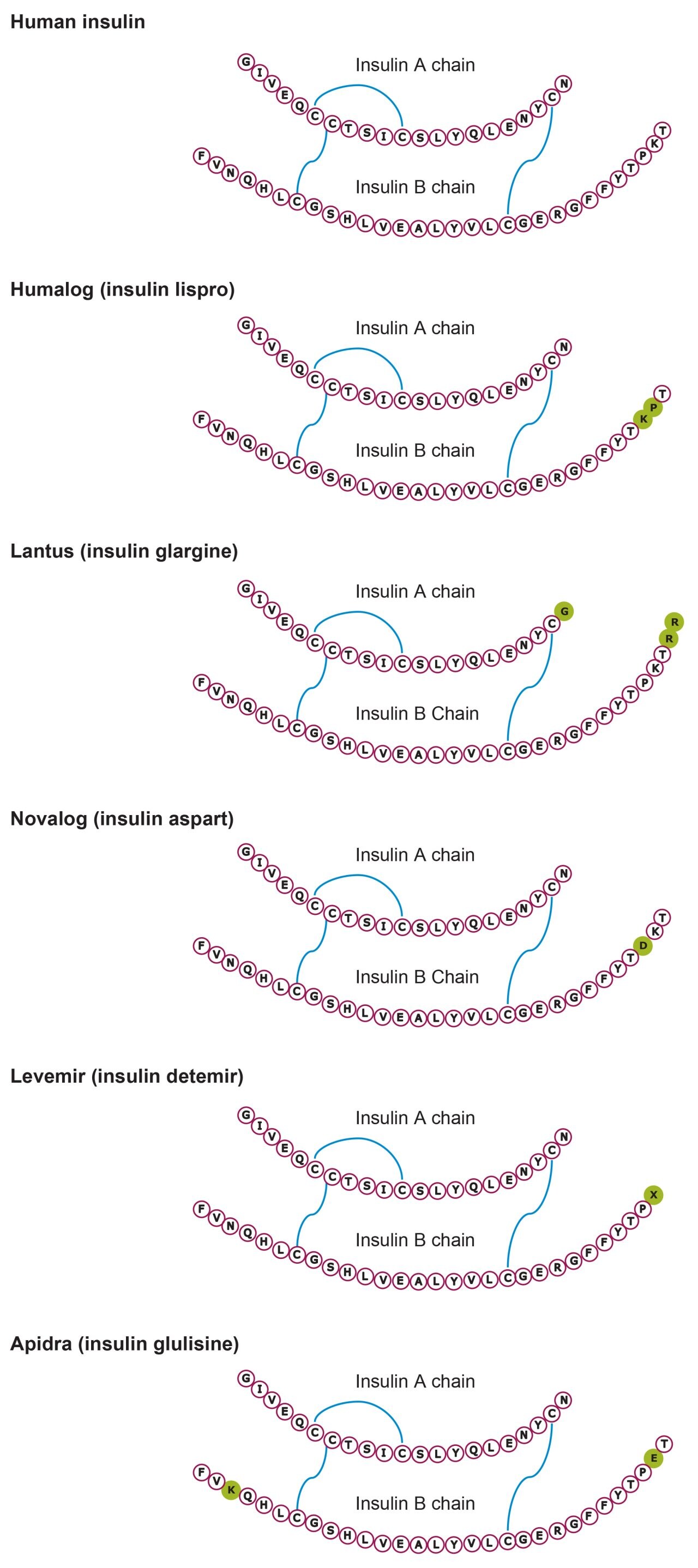 Simultaneous Analysis of Intact Human Insulin and Five Analogs in Human ...