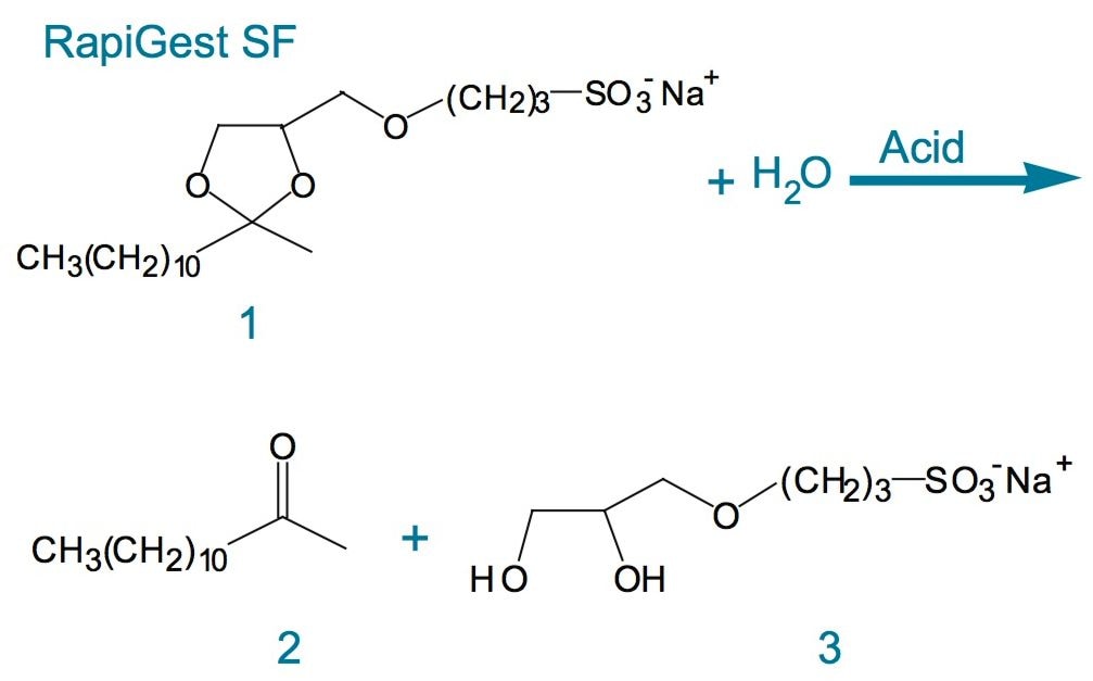 RapiGest SF Surfactant: An Enabling Tool for In-Solution Enzymatic ...