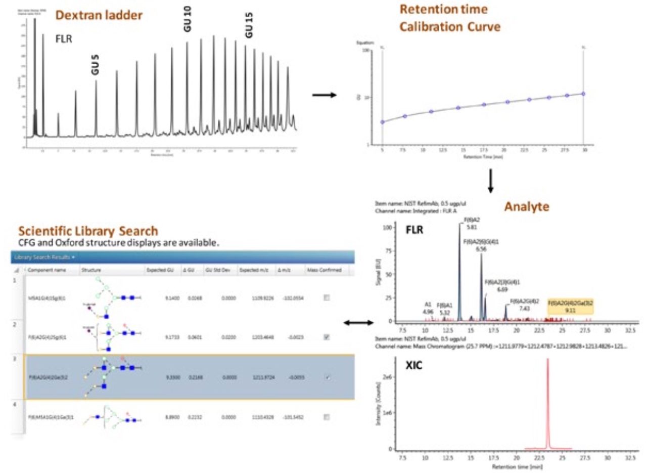 Released N-linked Glycan Analysis Using the Glycan Application Solution with UNIFI | Waters