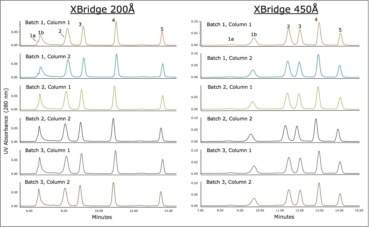 Advanced HPLC Size-Exclusion Chromatography for the Analysis of ...