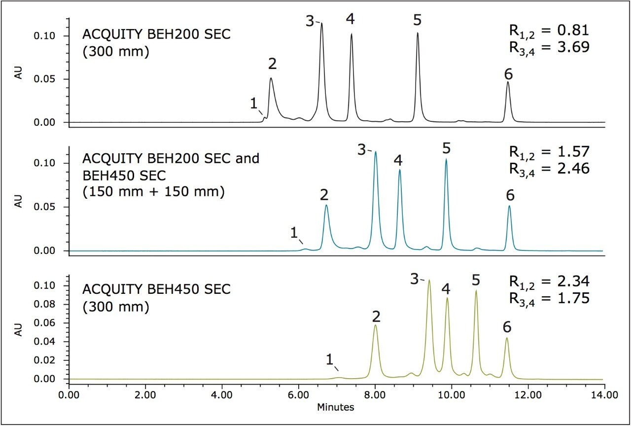 Advances in Size Exclusion Chromatography for the Analysis of ...