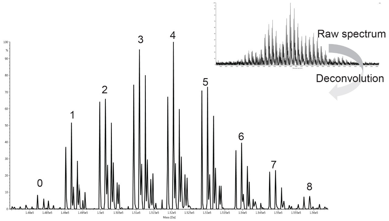 Analytical Scale Native SEC-MS for Antibody-Drug Conjugates (ADCs ...