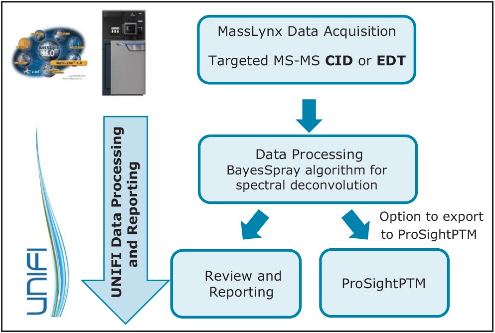 Top-down Monoclonal Antibody (mAb) Analysis Using CID and ETD ...