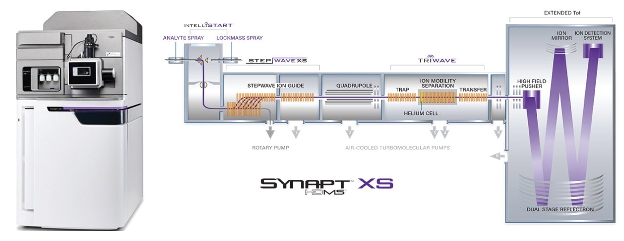 mAb Subunit Analysis Using the SYNAPT XS High Resolution Mass Spectrometer | Waters