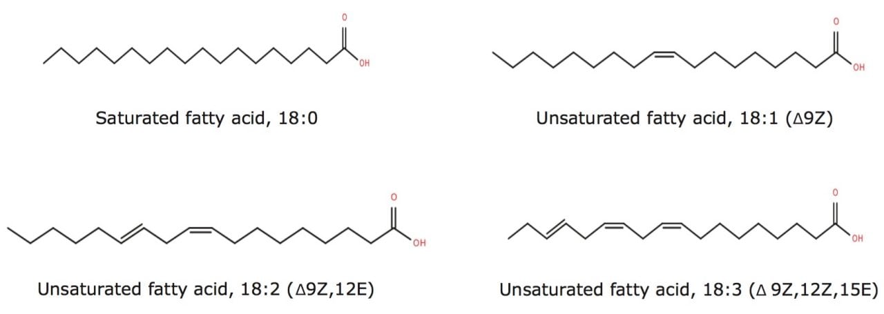 Fast and Simple Free Fatty Acids Analysis Using UPC2/MS | Waters