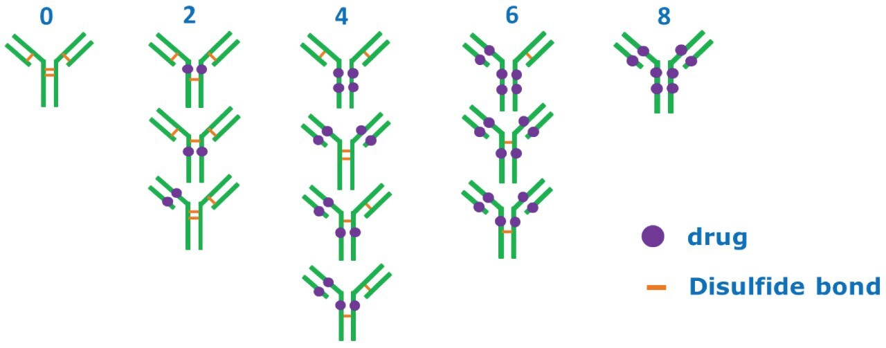 Analytical Scale Native SEC-MS for Antibody-Drug Conjugates (ADCs ...