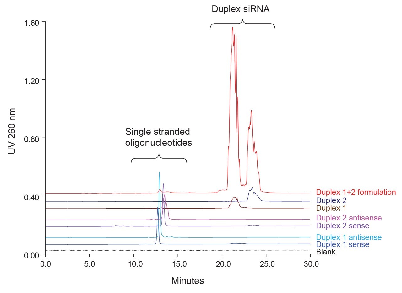 Analysis of siRNA Duplexes at Non-Denaturing UPLC Conditions Using ...