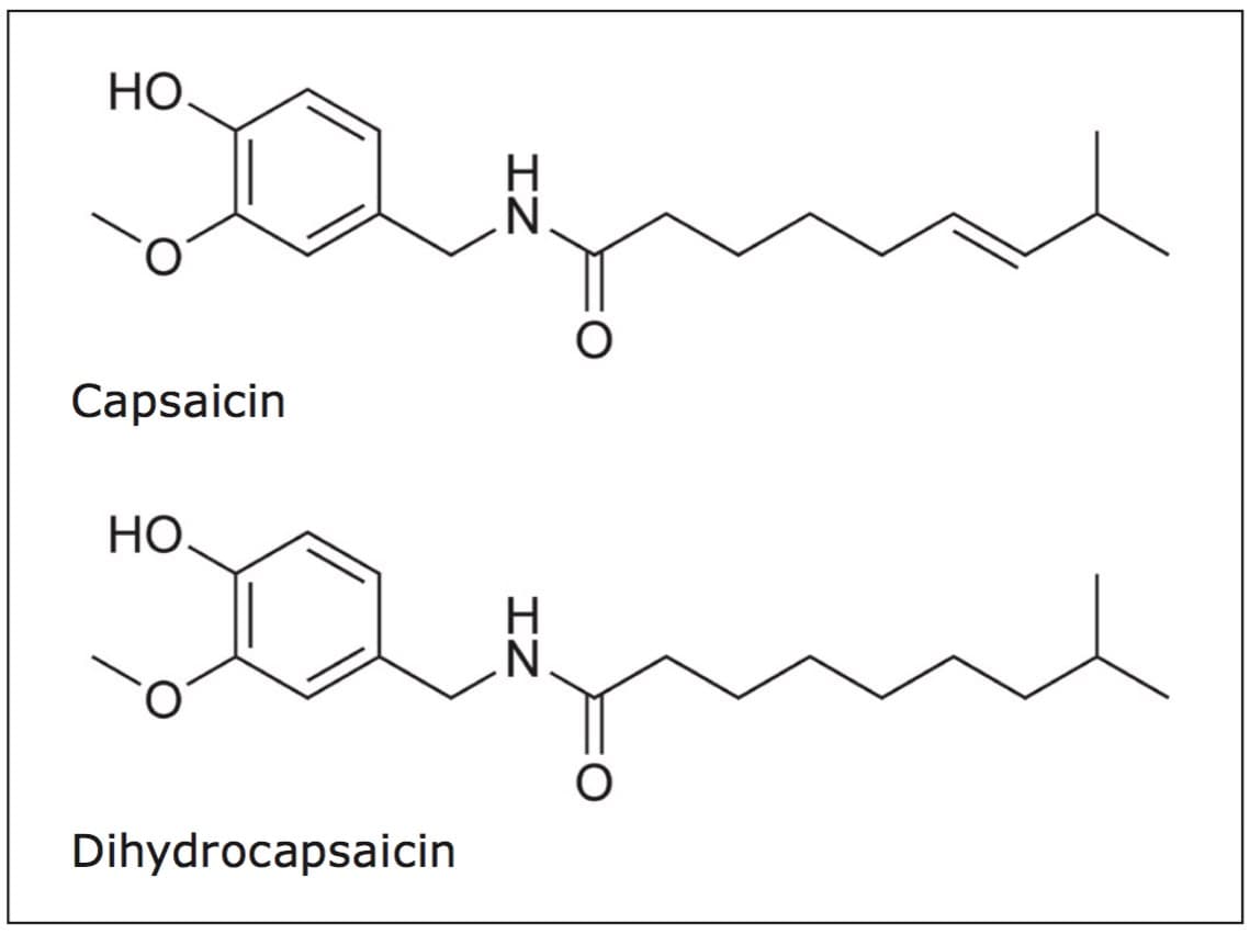 A Modular HPLC System for Routine Analysis of Capsaicin from Hot Sauces ...