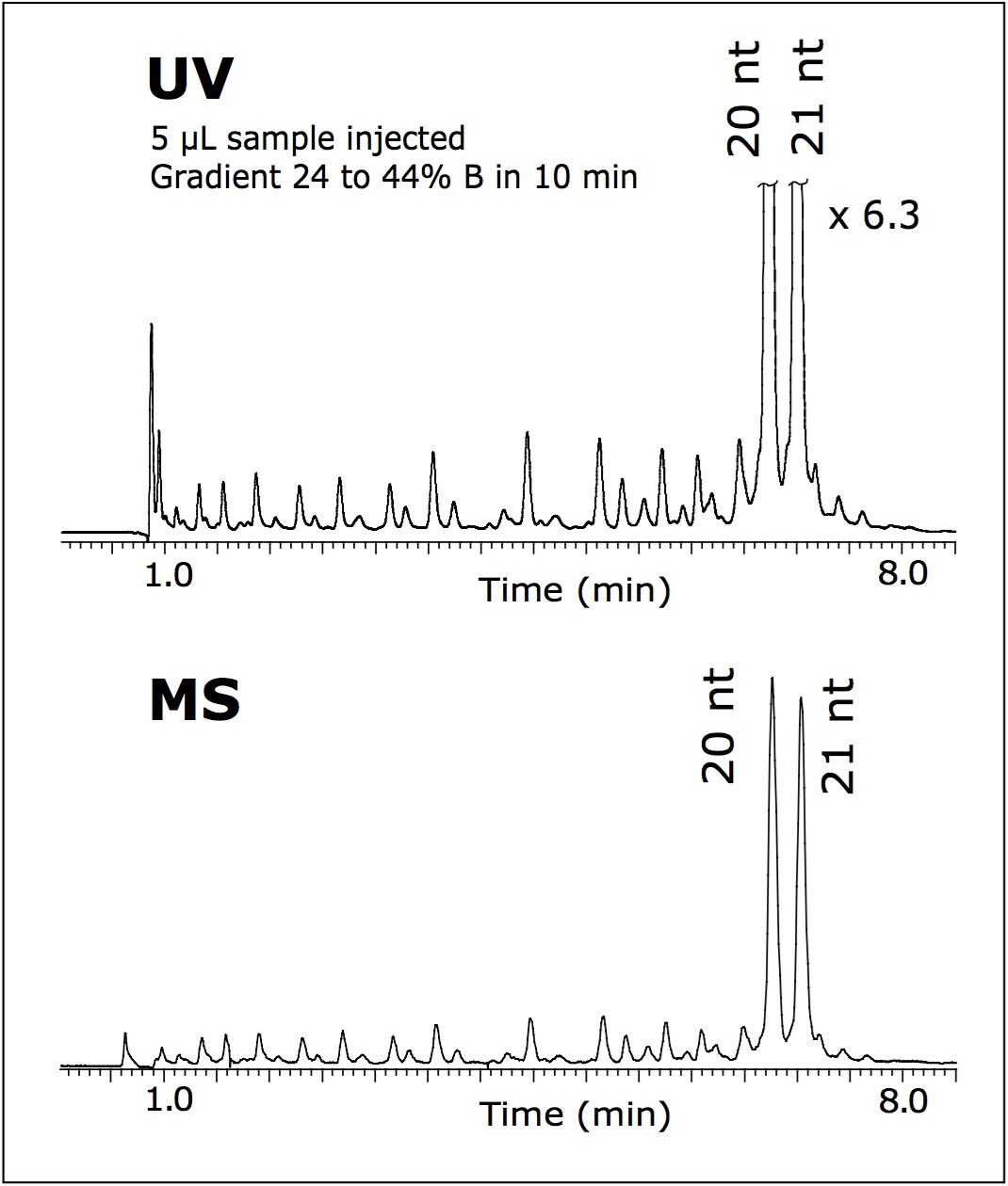 UPLC-MS Analysis of Interfering RNA Oligonucleotides : Waters