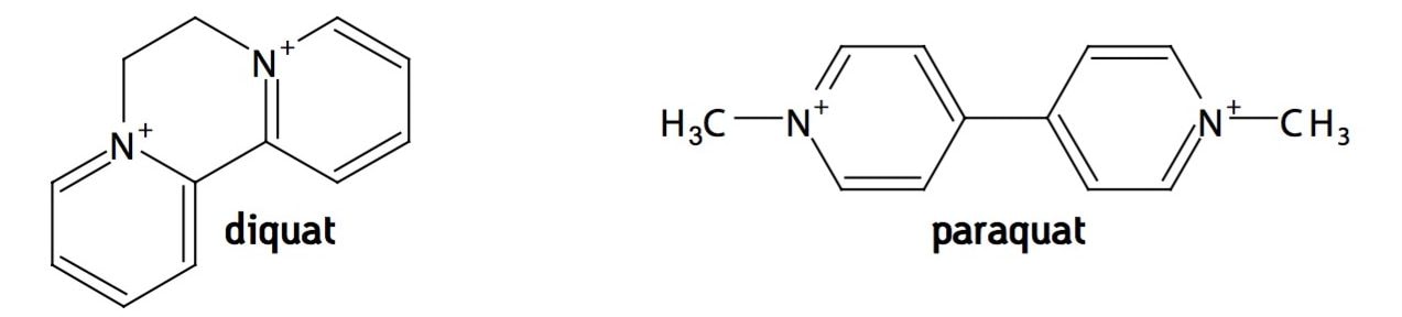 Fast and Sensitive UPLC/MS(MS) Determination of Diquat and Paraquat in ...