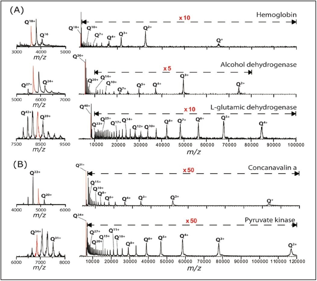 Charge Reduction Electron Transfer Dissociation (crETD) and Ion ...
