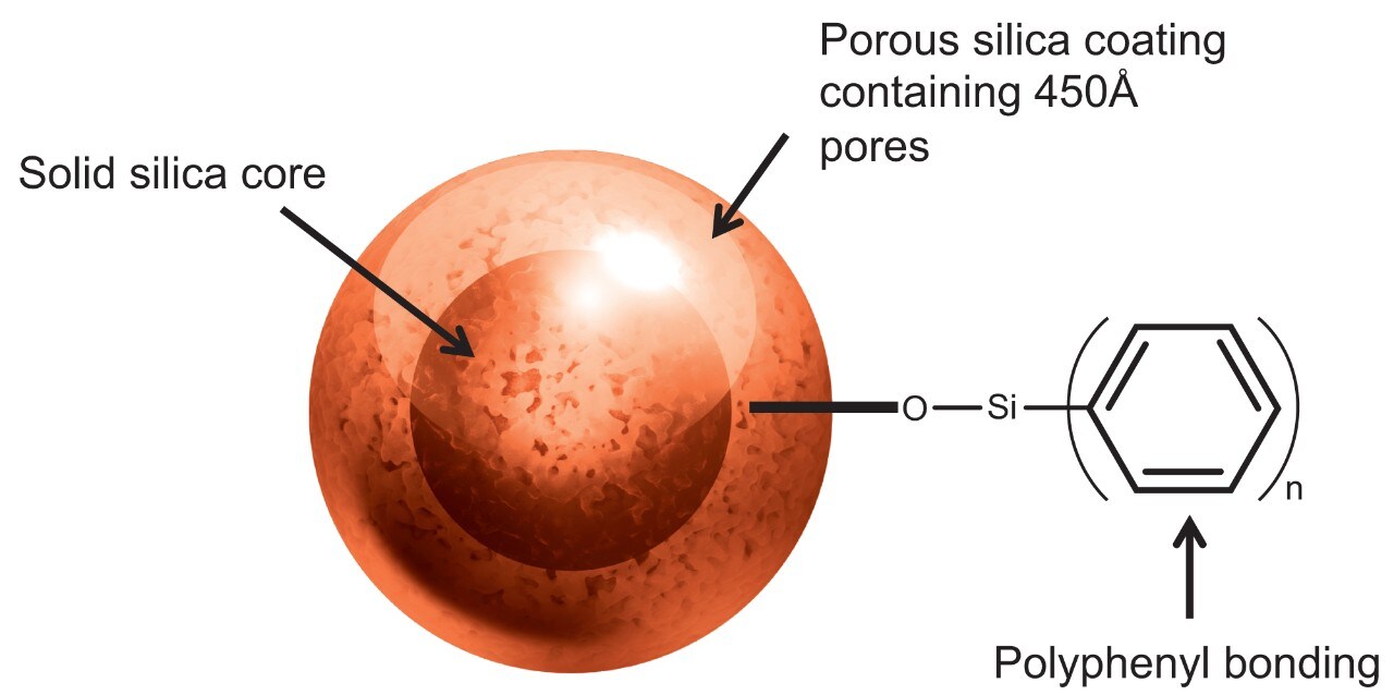 A Novel Phenyl Bonded Phase for Improved Reversed-Phase Separations of ...