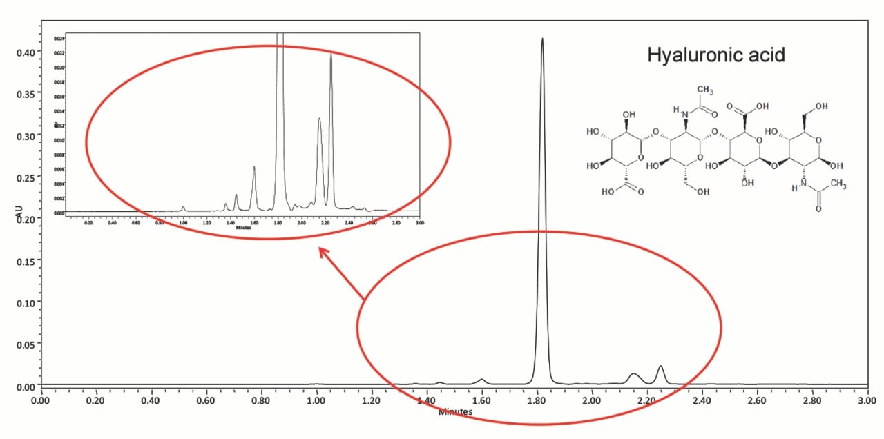 SEC Analysis of Hyaluronic Acid, Raffinose, and Rhamnose Using Advanced ...