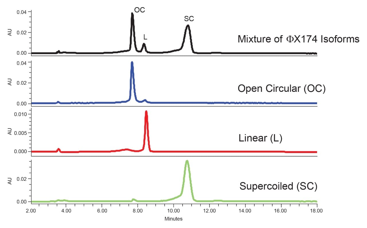 Plasmid Isoform Separation and Quantification by Anion-Exchange ...