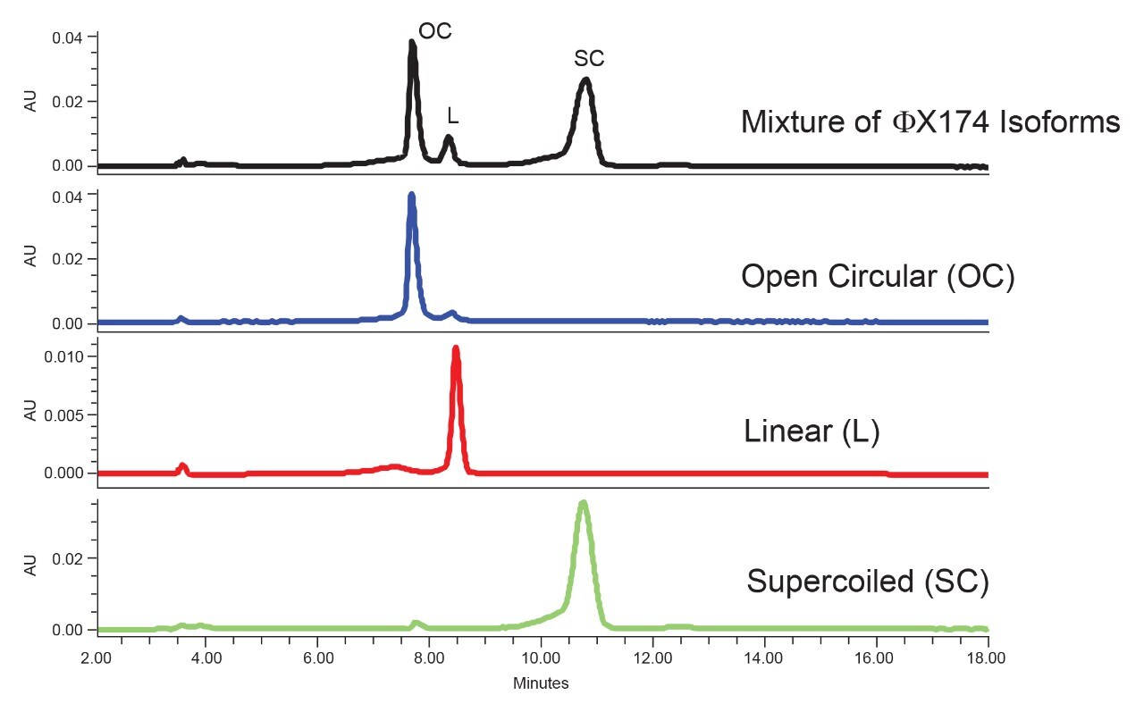 Plasmid Isoform Separation and Quantification by Anion-Exchange ...