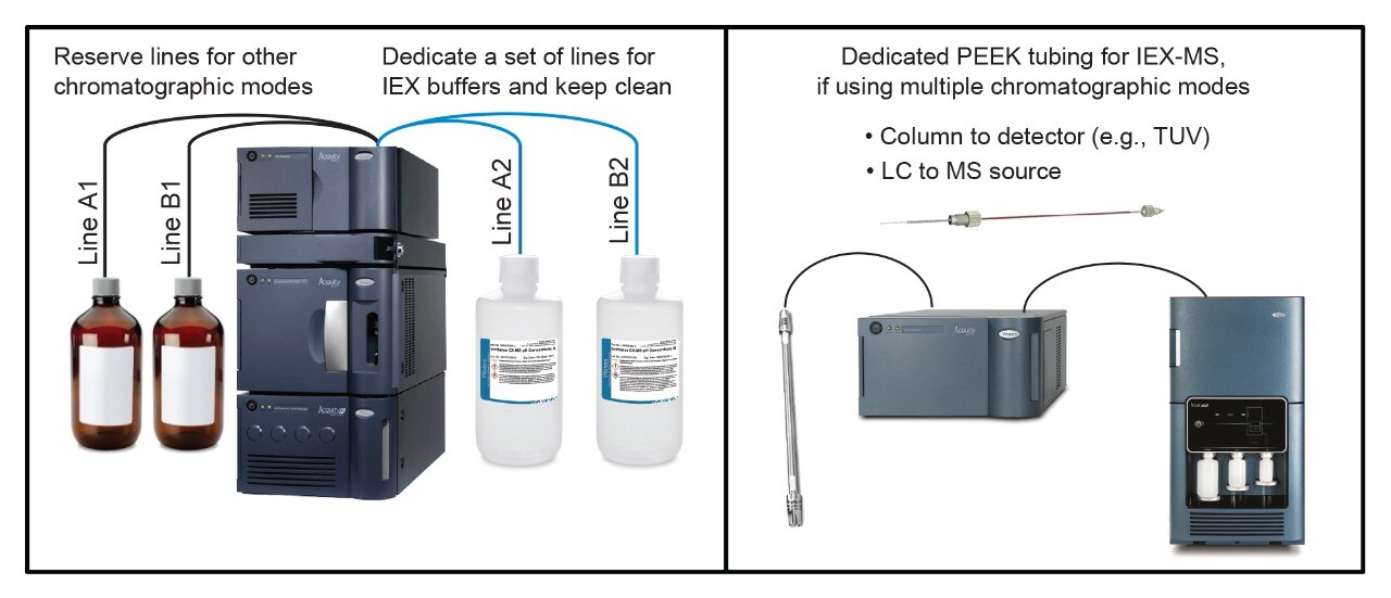 Practical Instrument Considerations for Ion-Exchange Chromatography ...